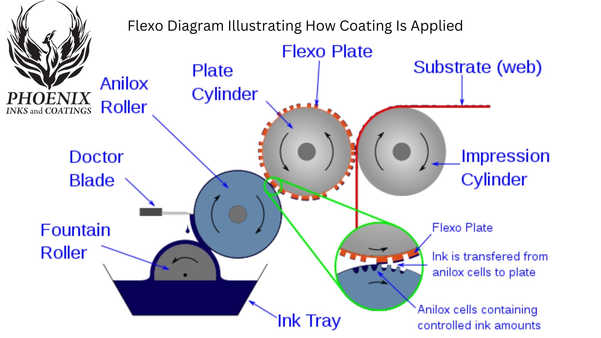 Flexographic Coating